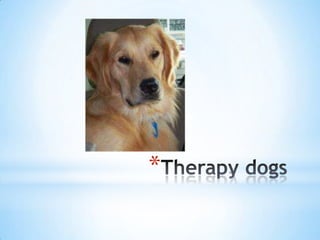 Therapy dogs presentation | PPT