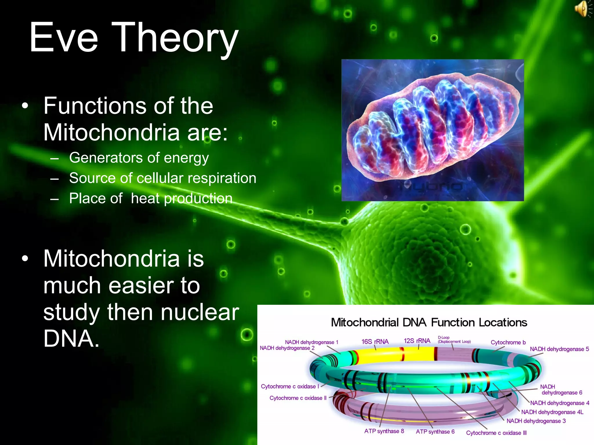 Sample 4th Q - The real eve theory2.1 | PPT