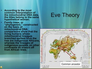 Sample 4th Q - The real eve theory2.1 | PPT