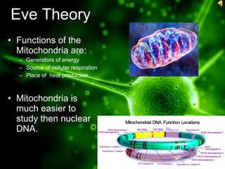 Sample 4th Q - The real eve theory2.1 | PPT