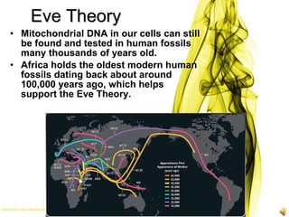 Sample 4th Q - The real eve theory2.1 | PPT