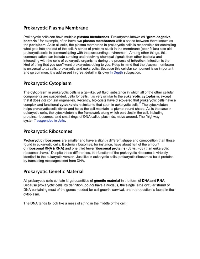 There are two major kinds of prokaryotes | PDF