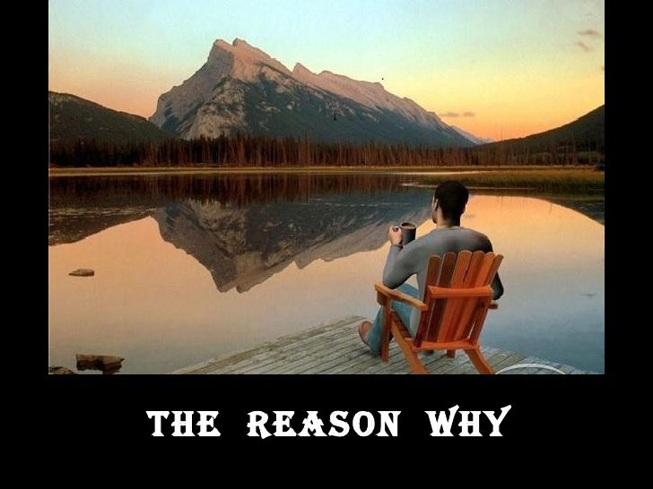 The Reason Why