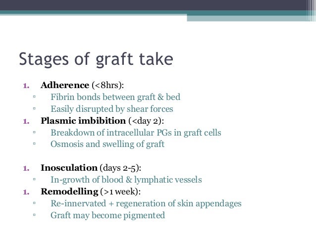 The Reconstructive Ladder - Mussa Mensa