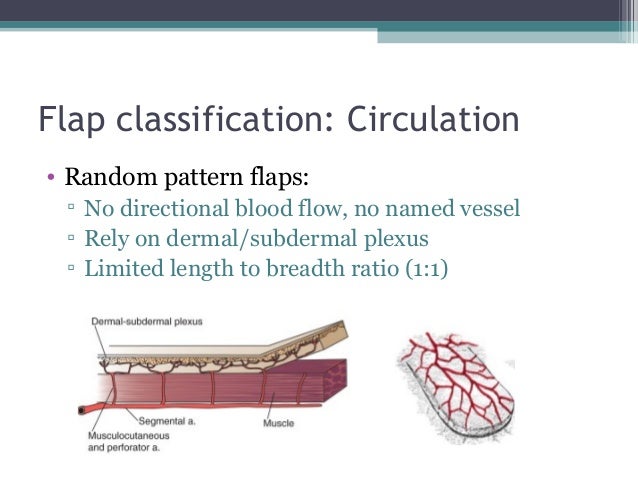 The Reconstructive Ladder - Mussa Mensa