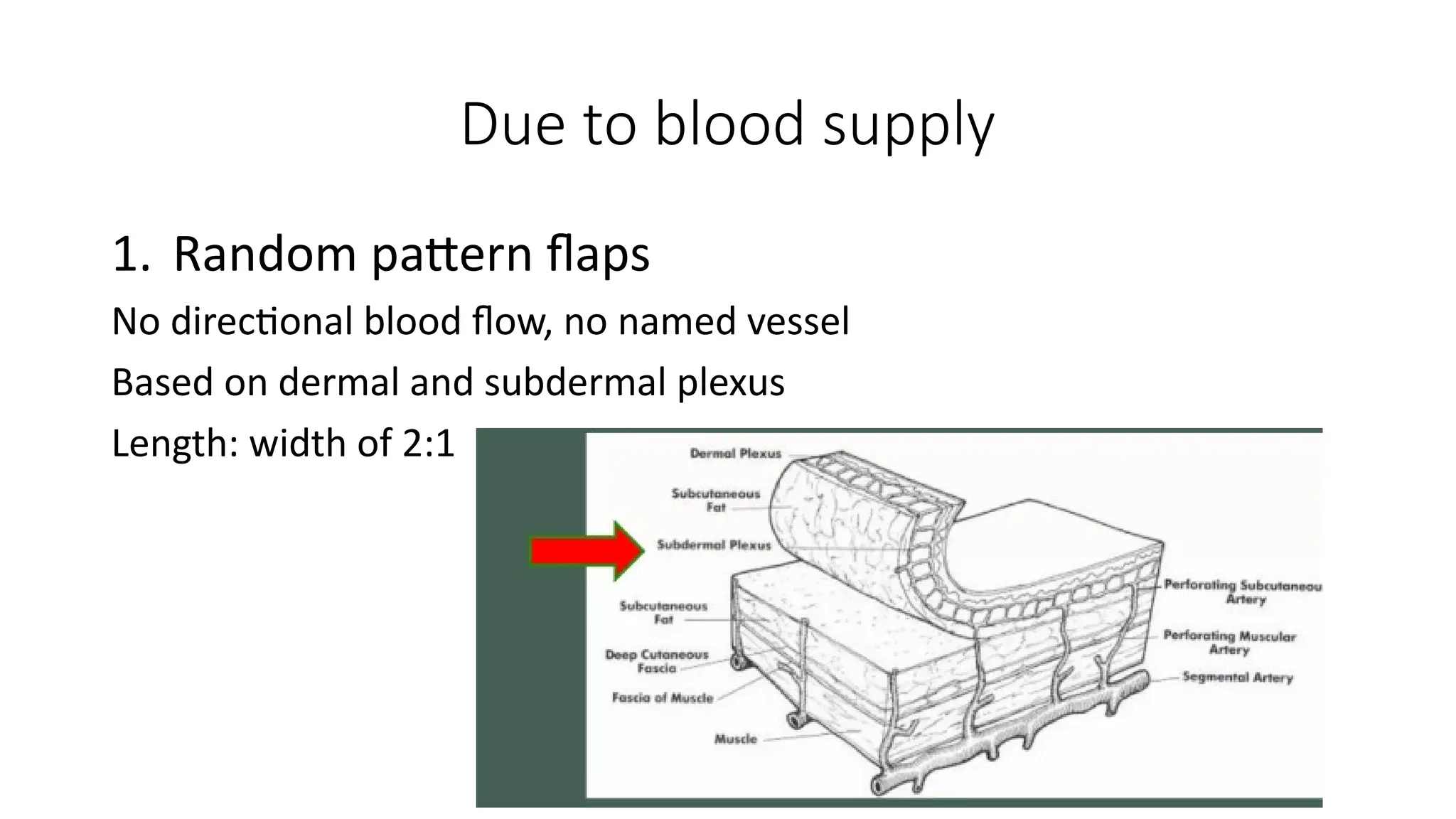 THE RECONSTRUCTIVE LADDER BY DR BINOD CHAUDHARY | PPTX