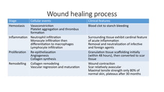 THE RECONSTRUCTIVE LADDER BY DR BINOD CHAUDHARY | PPTX