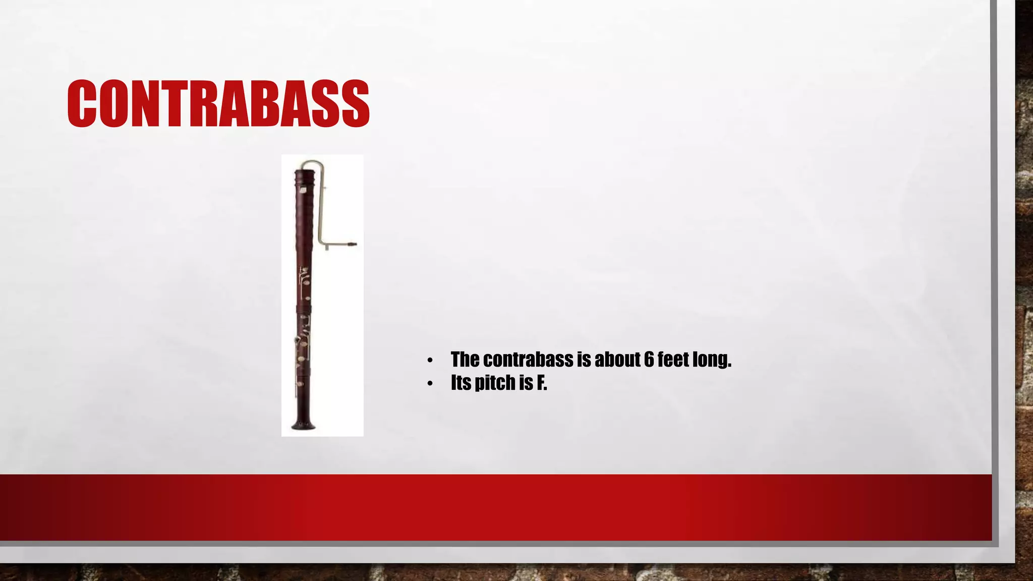 The Recorder Family.pptx