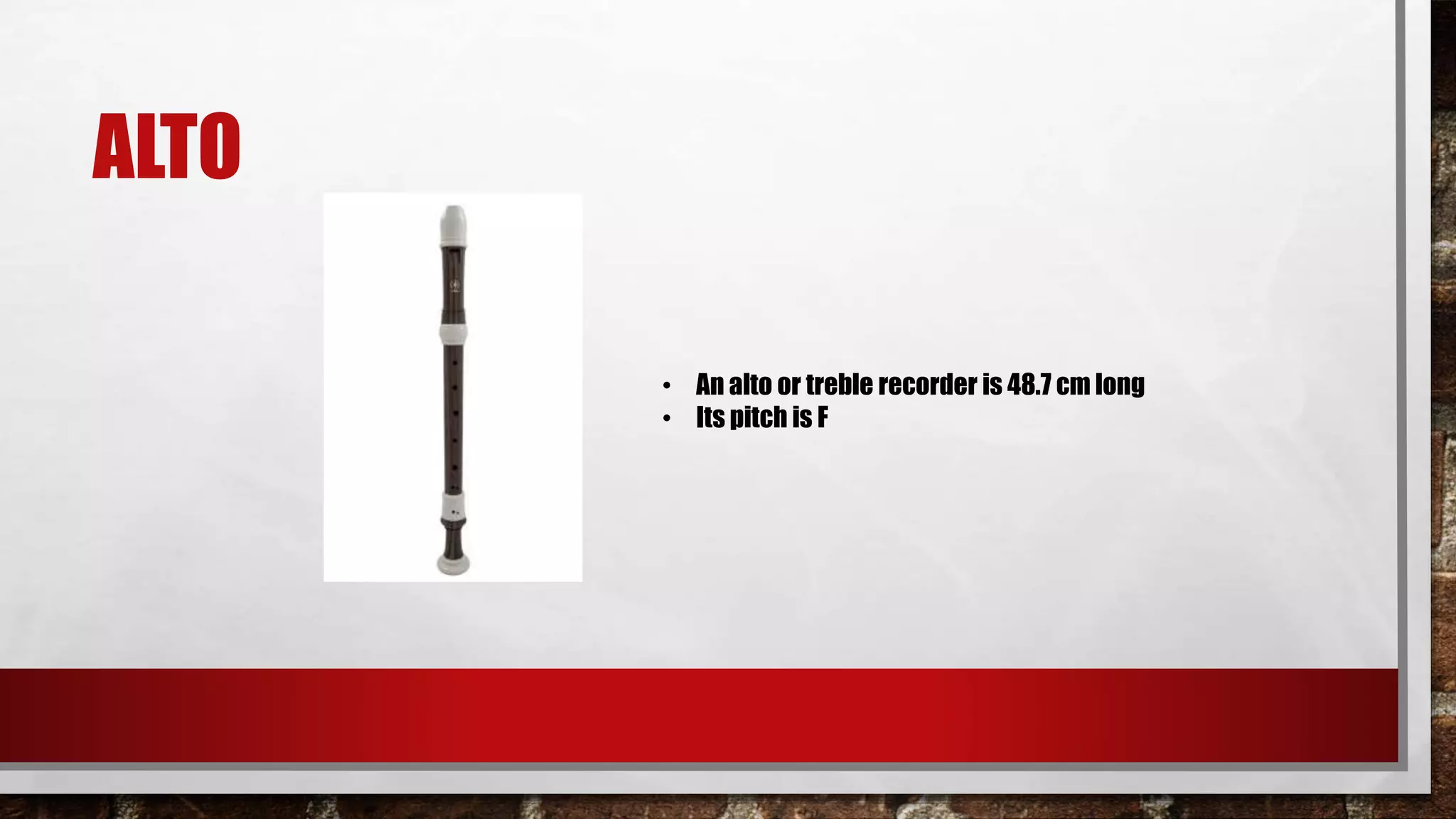 The Recorder Family.pptx