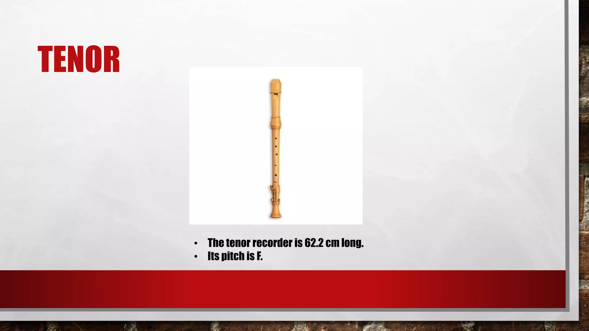 The Recorder Family.pptx