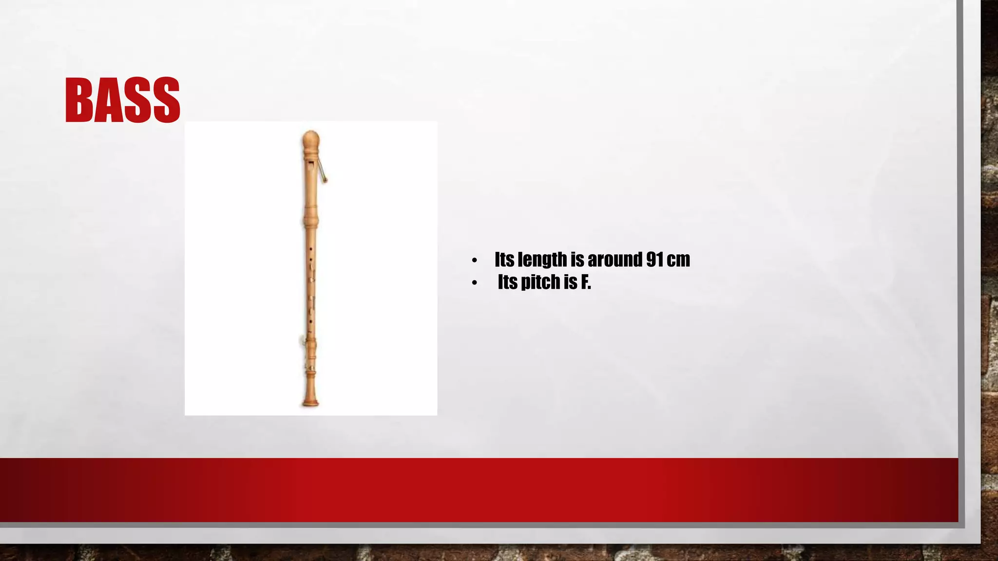 The Recorder Family.pptx