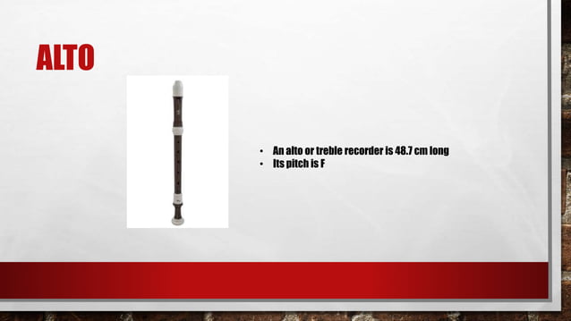 The Recorder Family.pptx