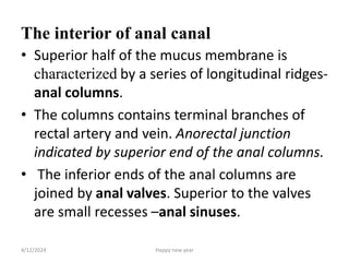 The Rectum & Anal Can al- dr. towo.ppt