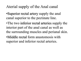 The Rectum & Anal Can al- dr. towo.ppt