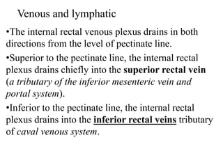 The Rectum & Anal Can al- dr. towo.ppt