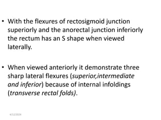 The Rectum & Anal Can al- dr. towo.ppt