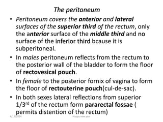 The Rectum & Anal Can al- dr. towo.ppt