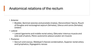 The rectum – anatomy, clinical features of human | PDF