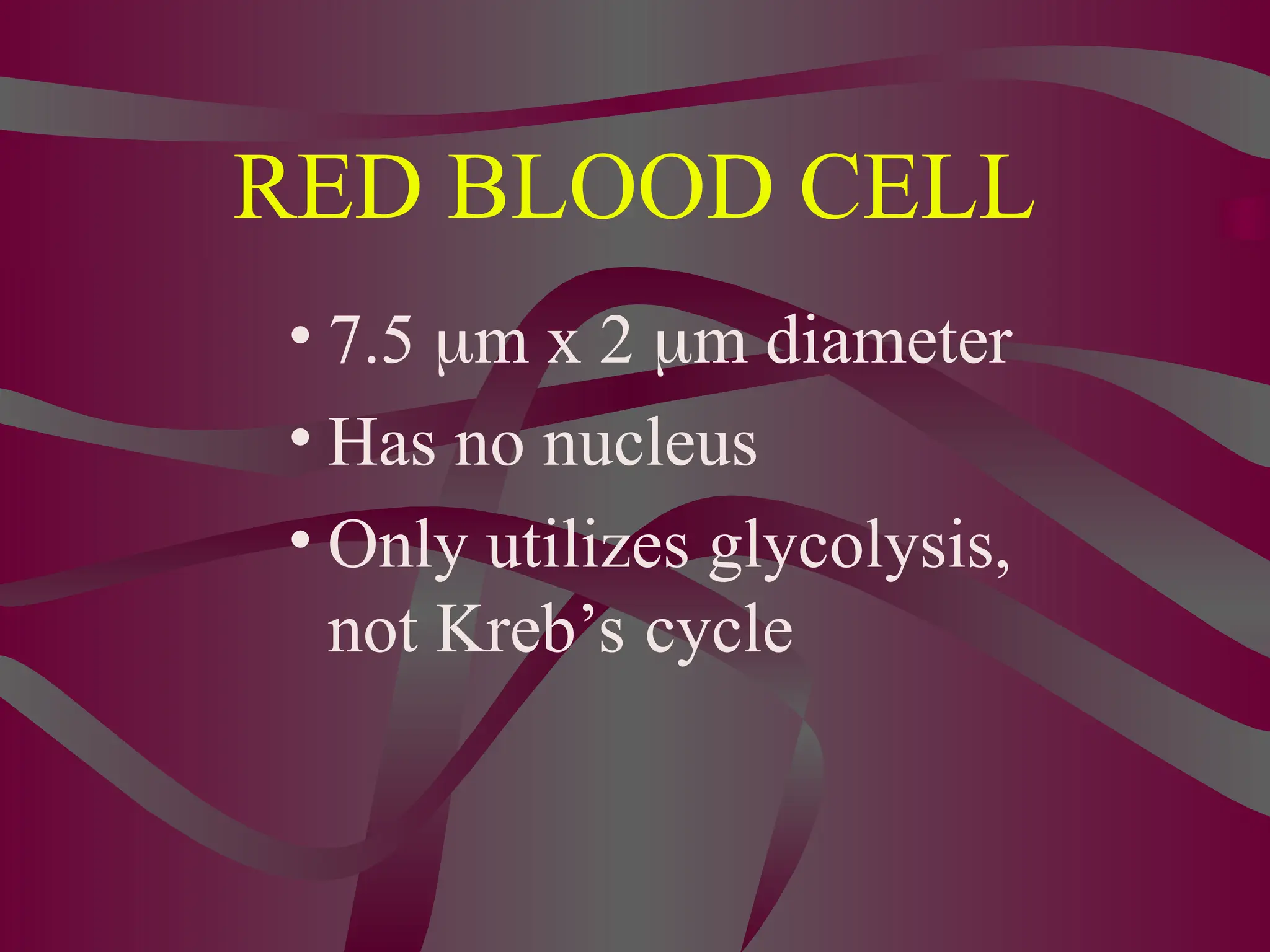 The red blood cellsfffffffffffffffffffff.ppt