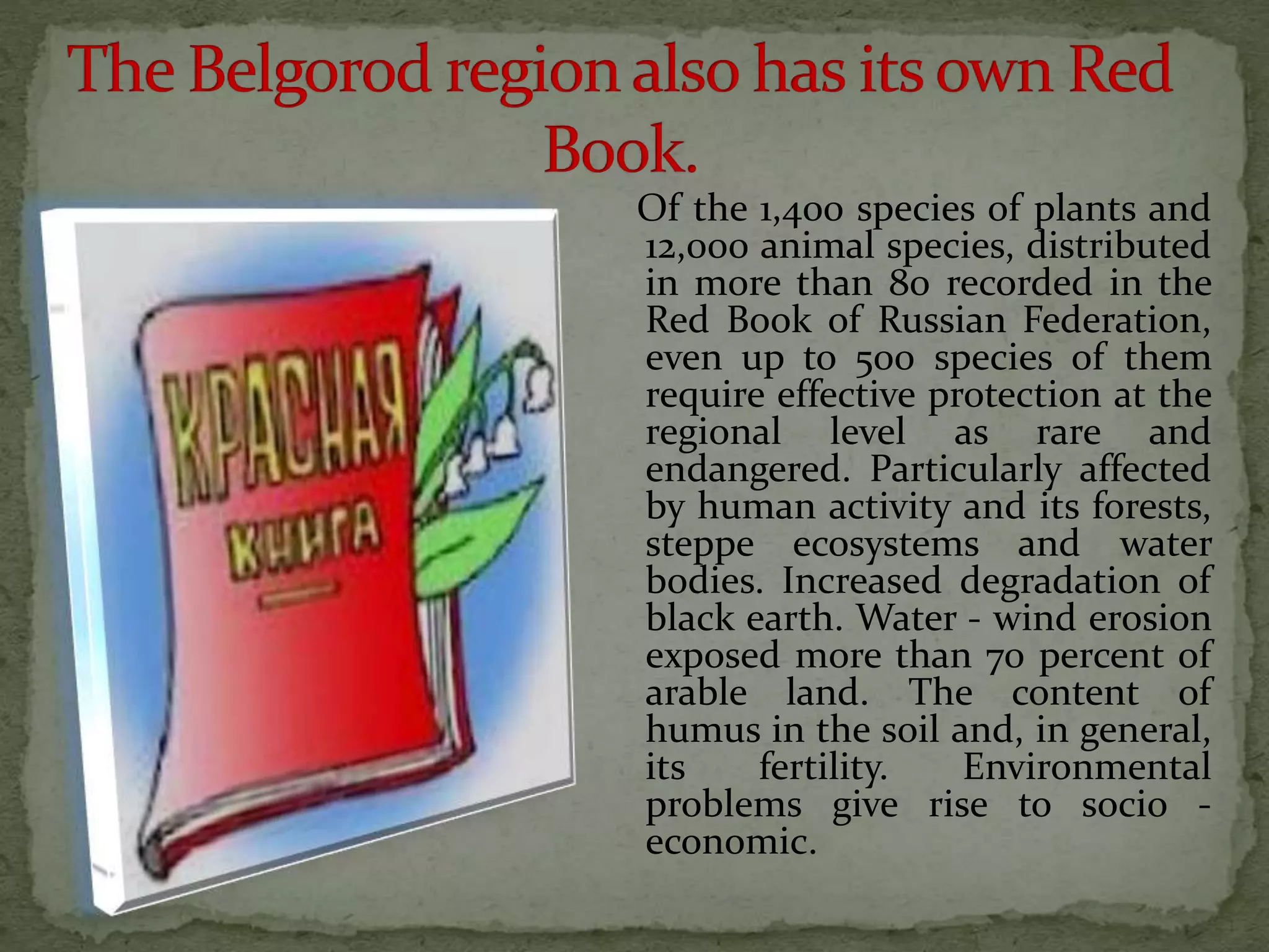 The red book | PPTX