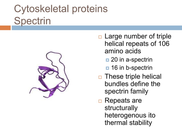 The red cell membrane | PPTX | Blood Disorders | Diseases and Conditions
