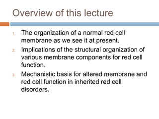 The red cell membrane | PPTX