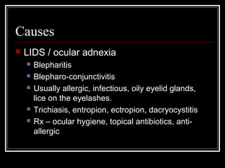 The red eye | PPT