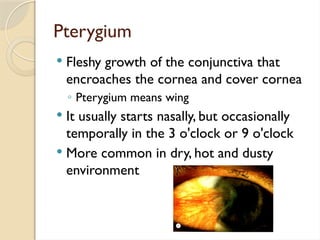 The Red Eye conjuctival diseases of the eyepptx | PPTX