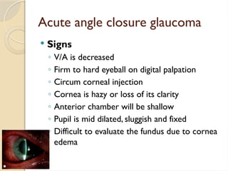 The Red Eye conjuctival diseases of the eyepptx | PPT