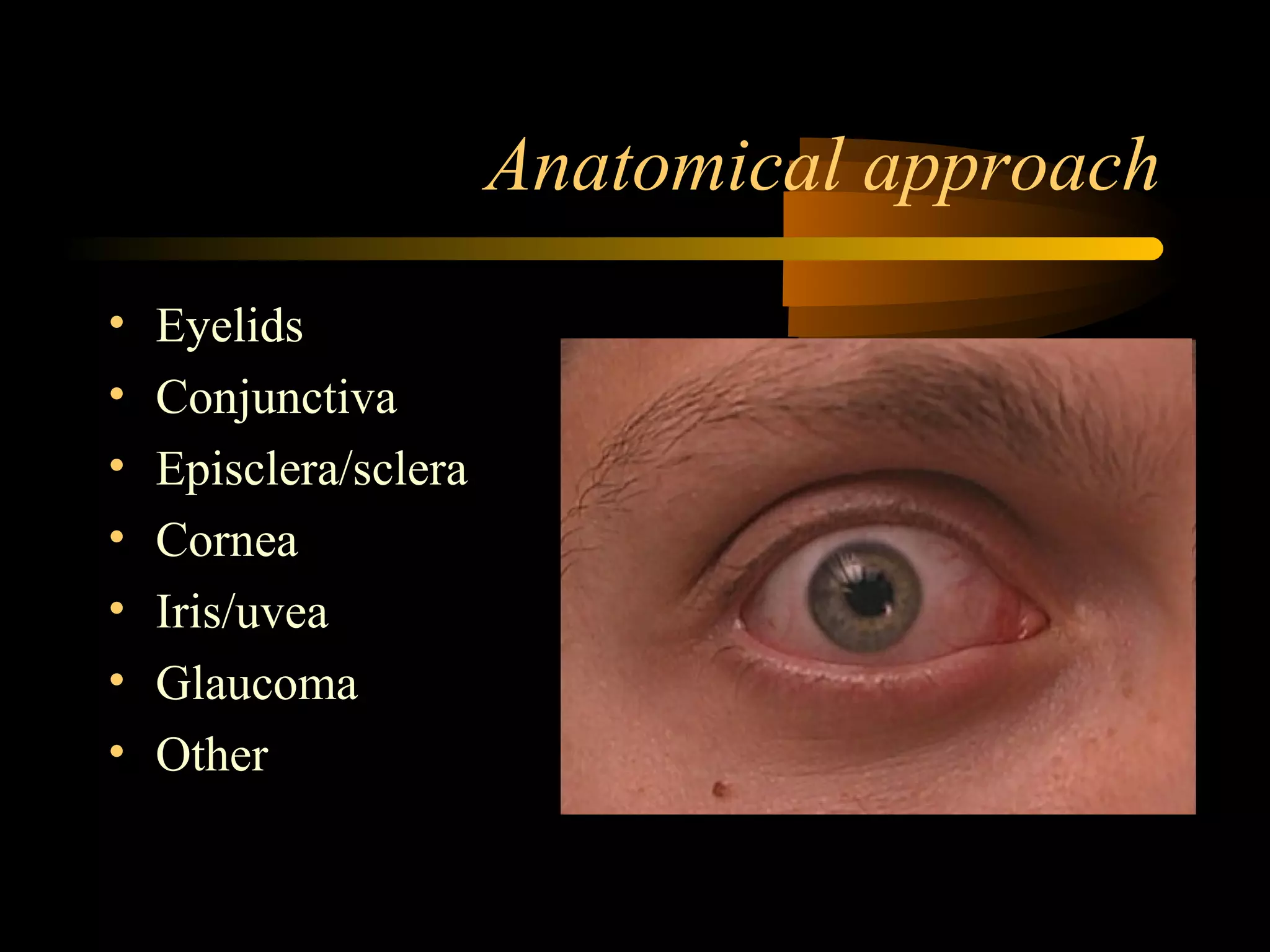 The Red Eye | PPT