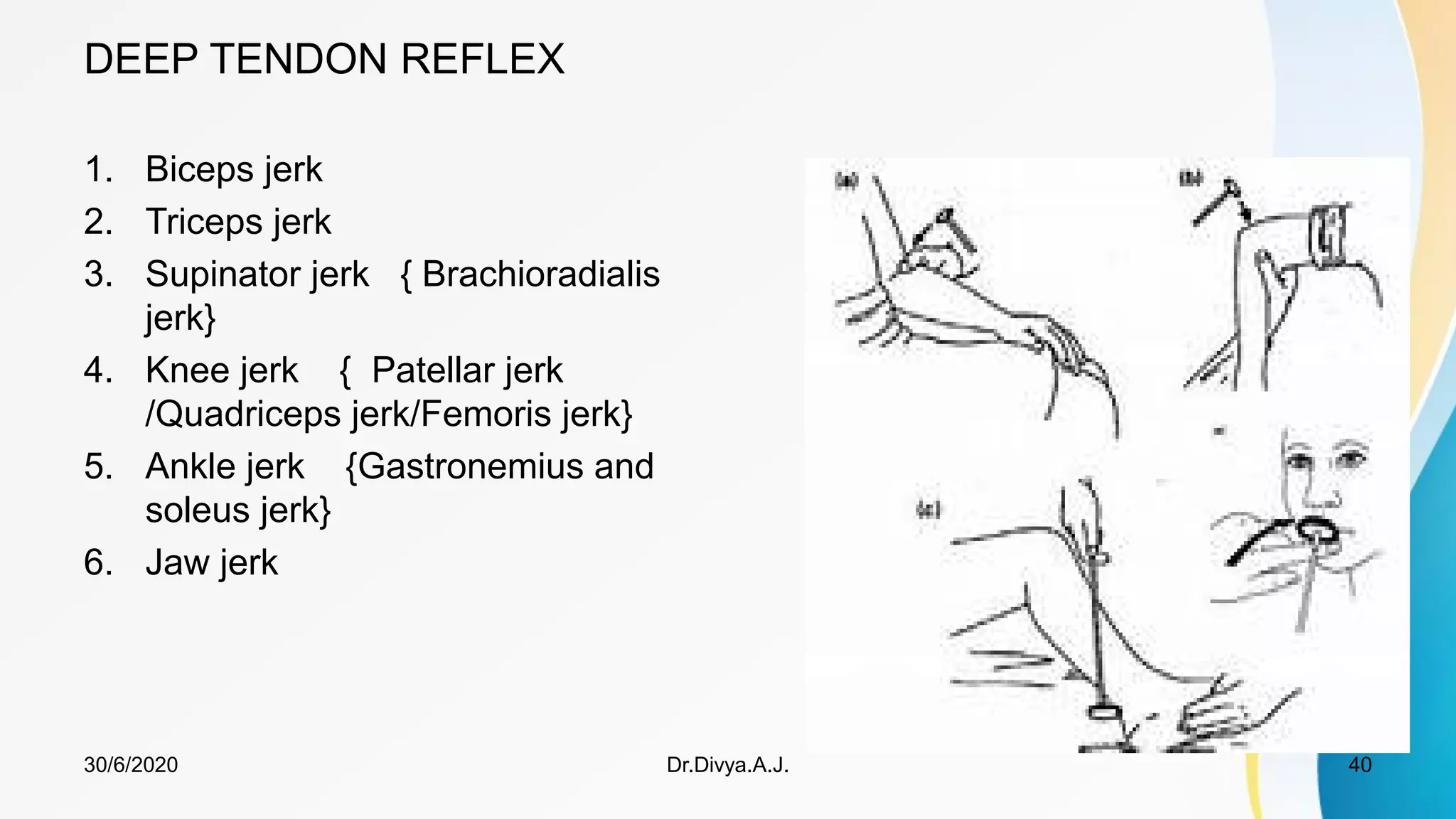 The reflexes -Practicals | PDF