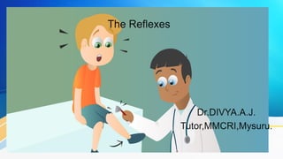 The reflexes -Practicals | PDF
