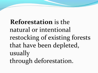 Reforestation Definition