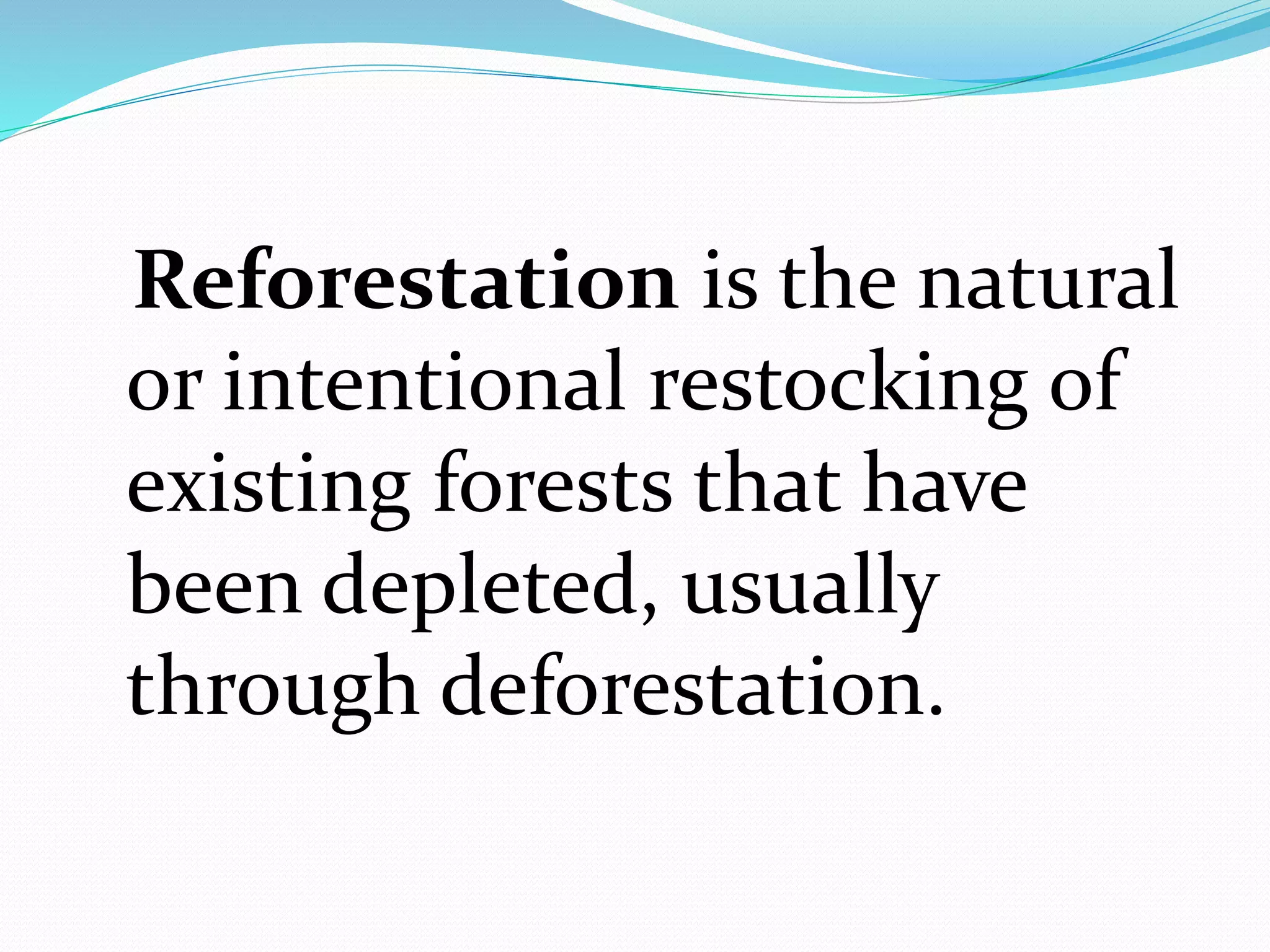 The reforestation | PPTX