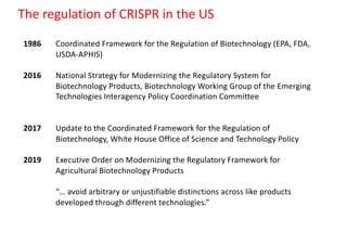 The regulation of emerging technologies | PDF