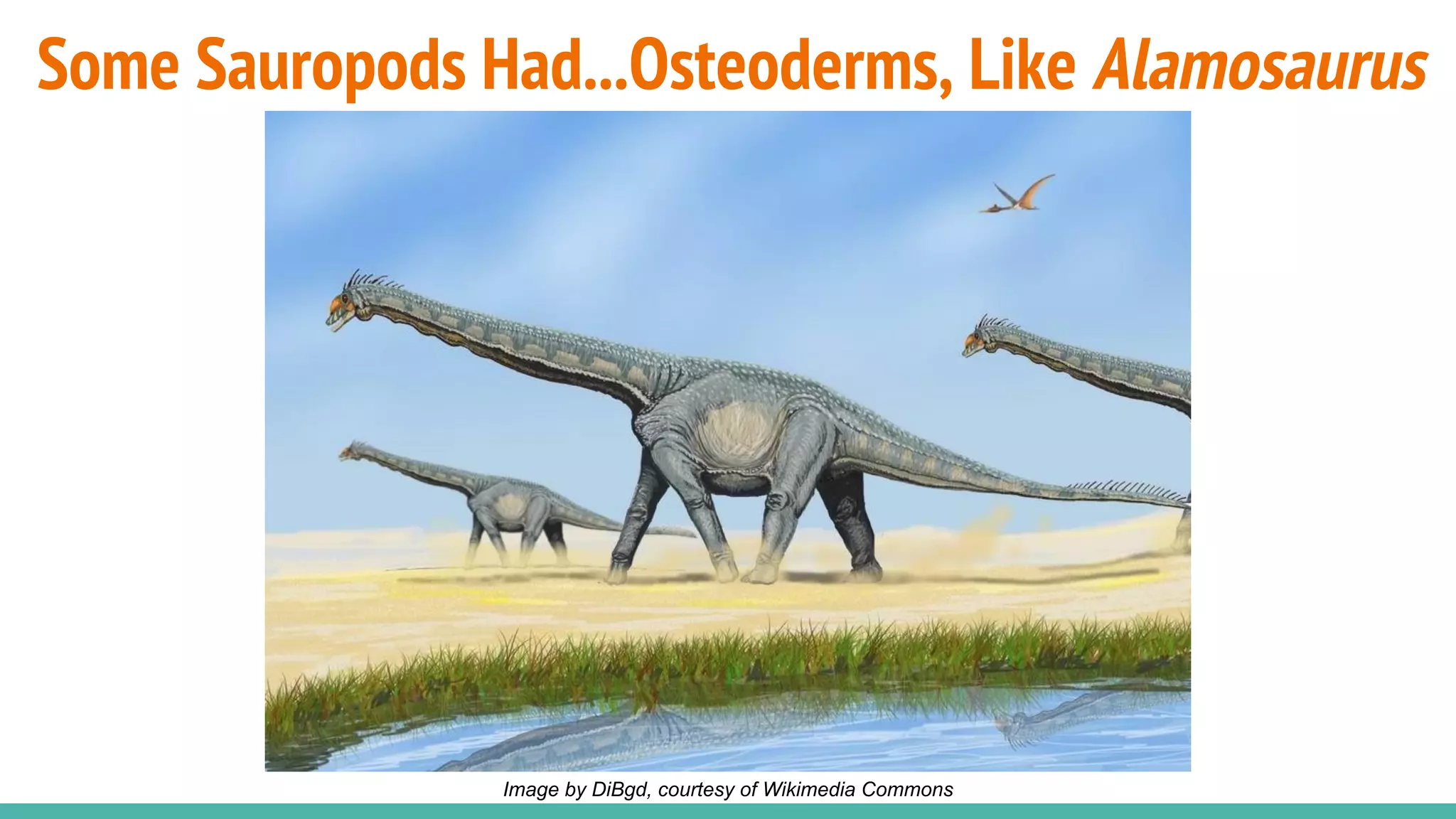The Reign of Sauropods | PDF