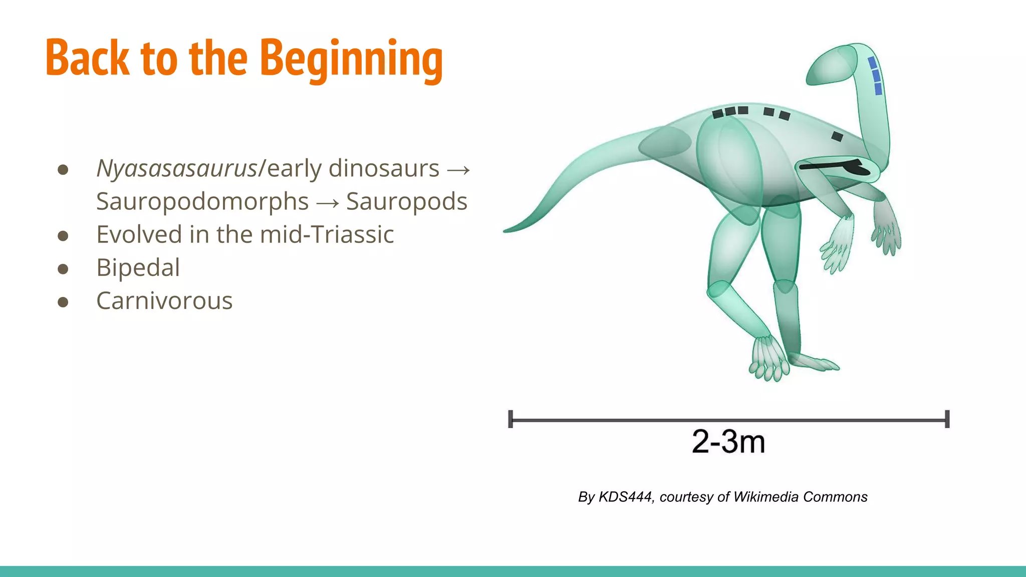 The Reign of Sauropods | PDF