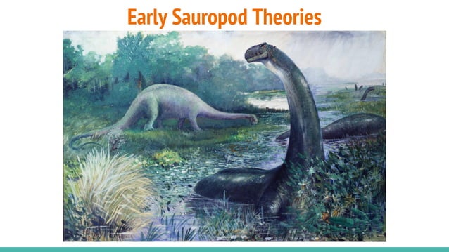 The Reign of Sauropods | PPT