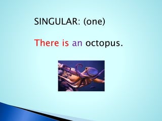 There is there are | PPTX