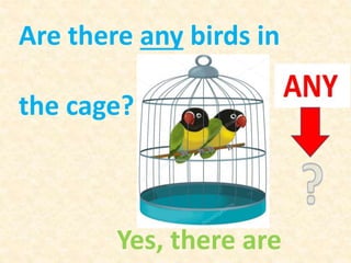THERE IS THERE ARE A / AN SOME ANY | PPT