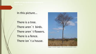 There is, there are | PPTX