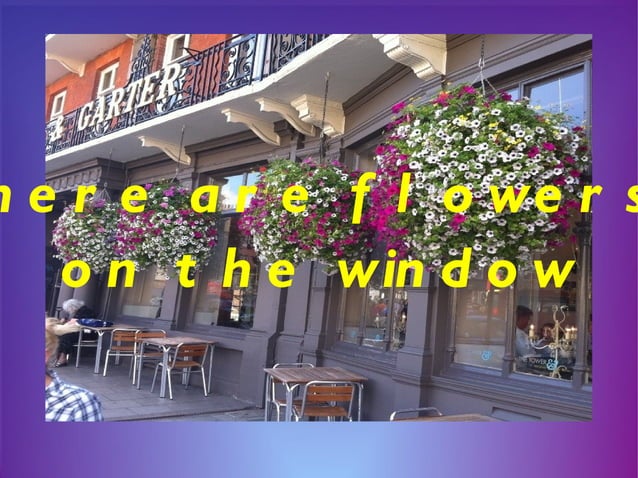 There is there are 7 angi | ODP