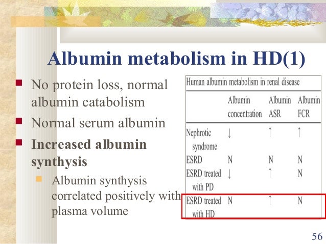 High Serum Albumin And Diabetes Diabetestalknet