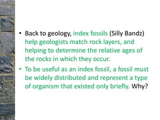 The relative age of rocks | PPTX