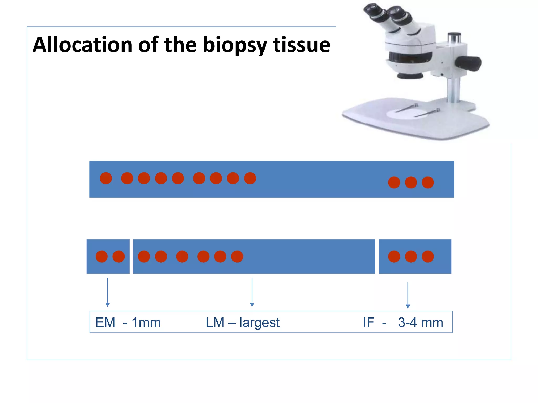 The renal biopsy | PPTX