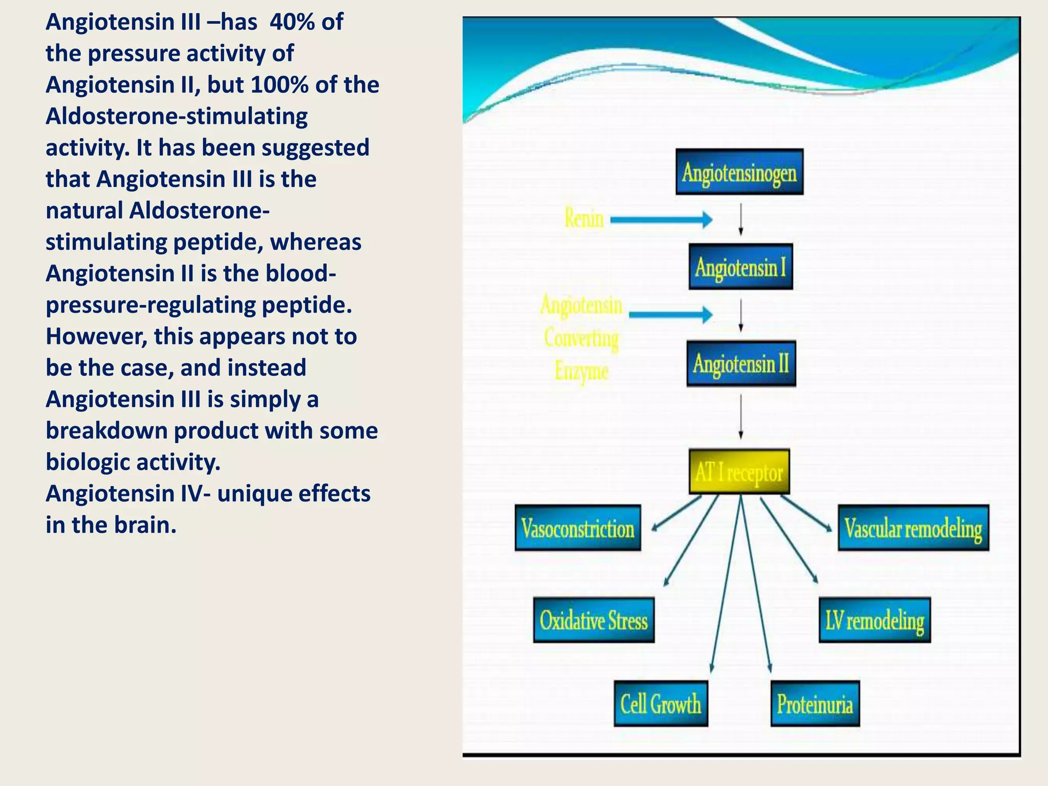 The renin angiotensin aldosterone system. | PPTX