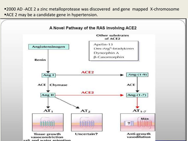 The renin angiotensin aldosterone system. | PPTX