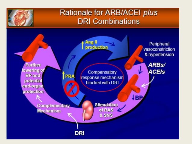 The renin angiotensin aldosterone system. | PPTX
