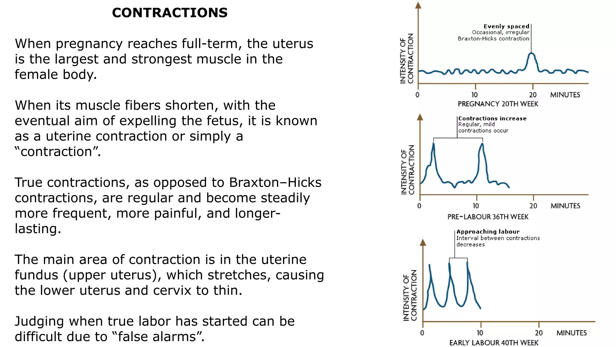 THE REPRODUCTION SYSTEMS.pdf