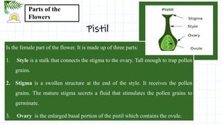THE REPRODUCTIVE PARTS IN PLANTS.pptx